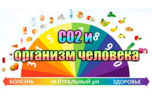 Углекислый газ в атмосфере, его основные источники и поглотители.